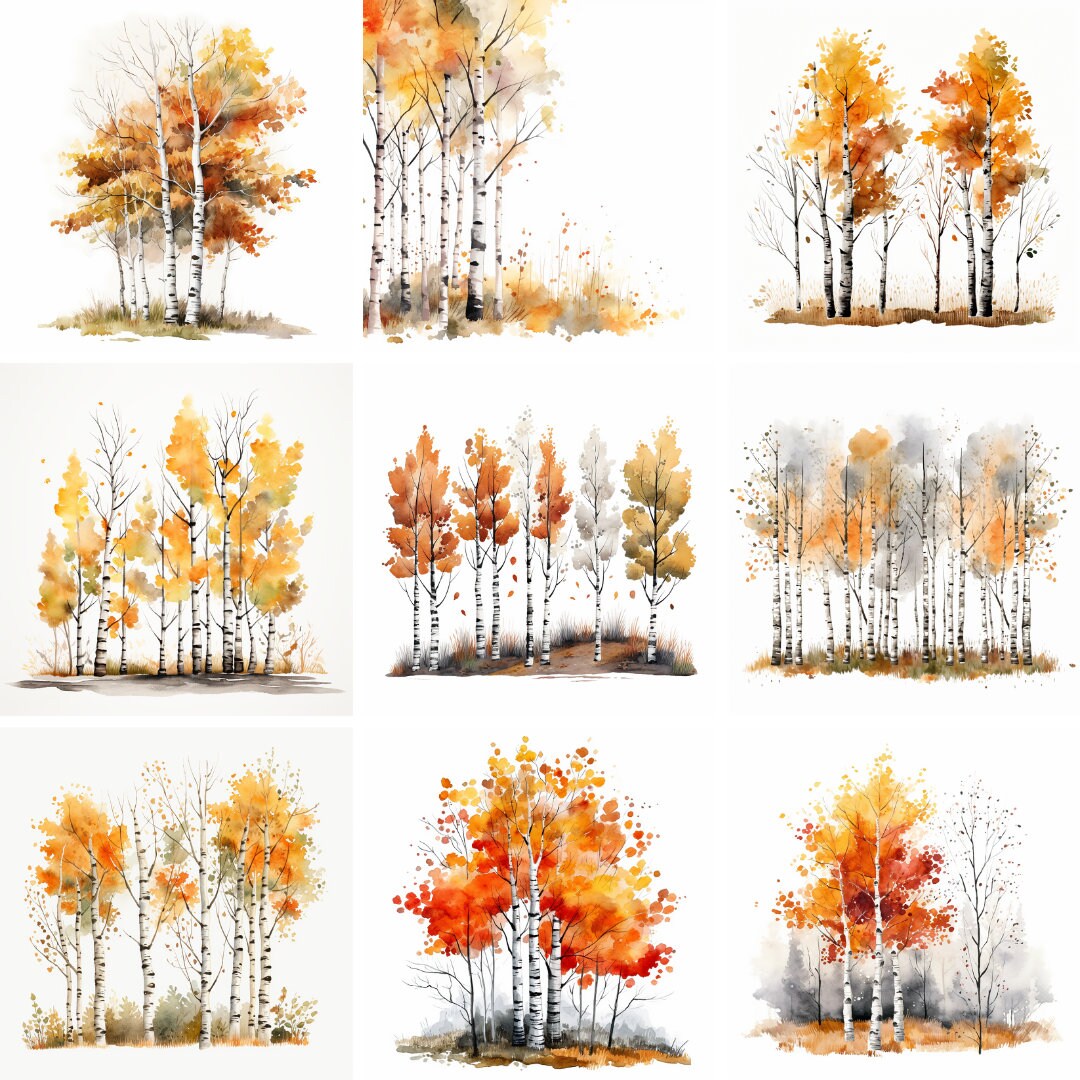 Watercolor Fall Birch Trees Clipart PNG Autumn Birch Tree - Etsy
