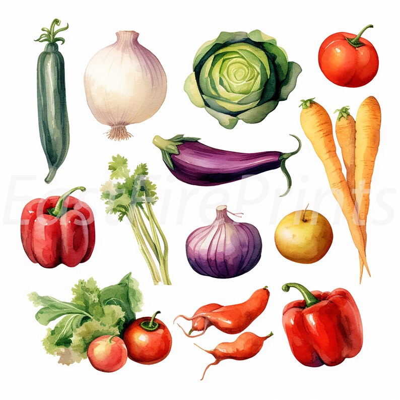 Vegetable Watercolor Clipart at Charlott Leff blog