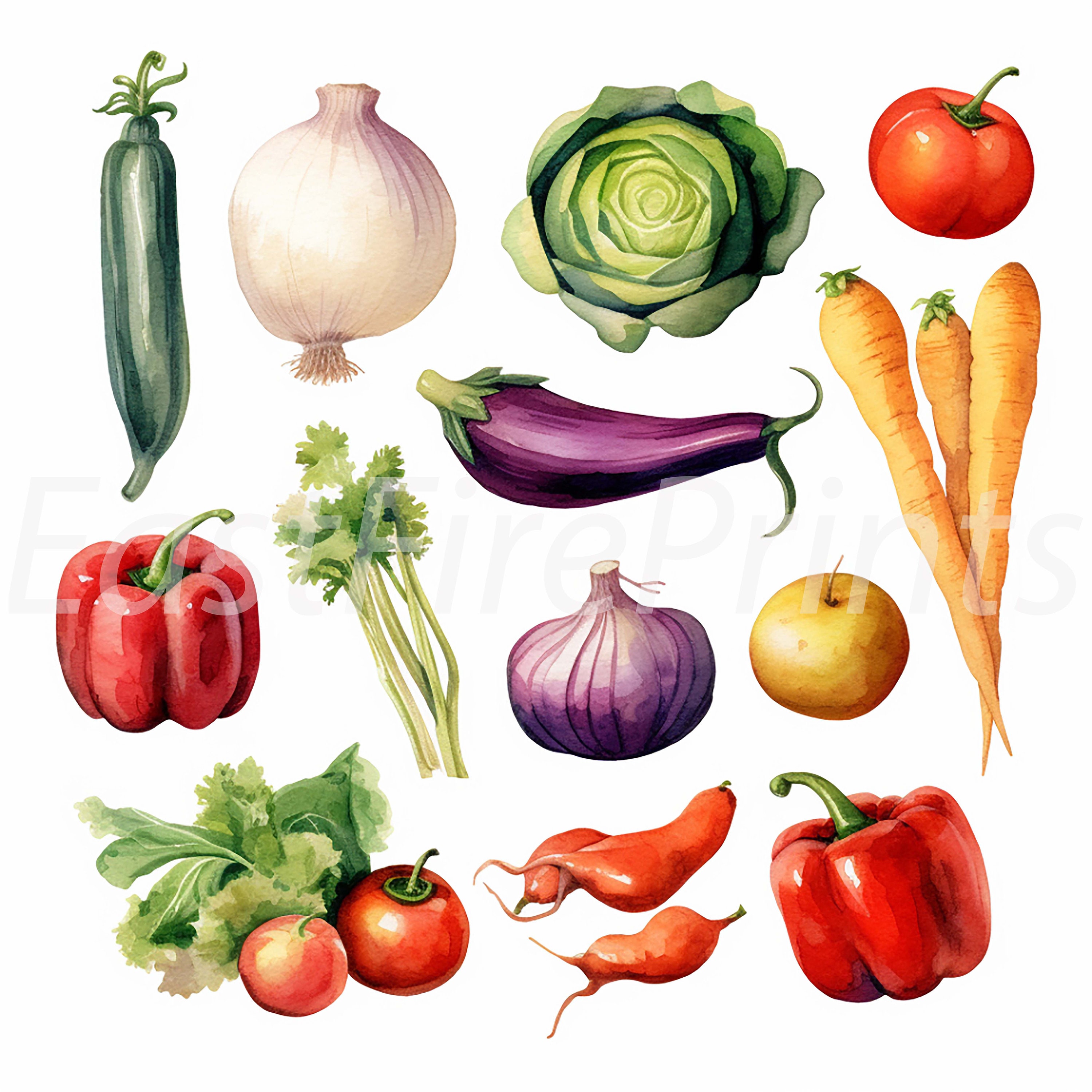 Watercolor Vegetable Clipart Set of 10 Download Digital - Etsy