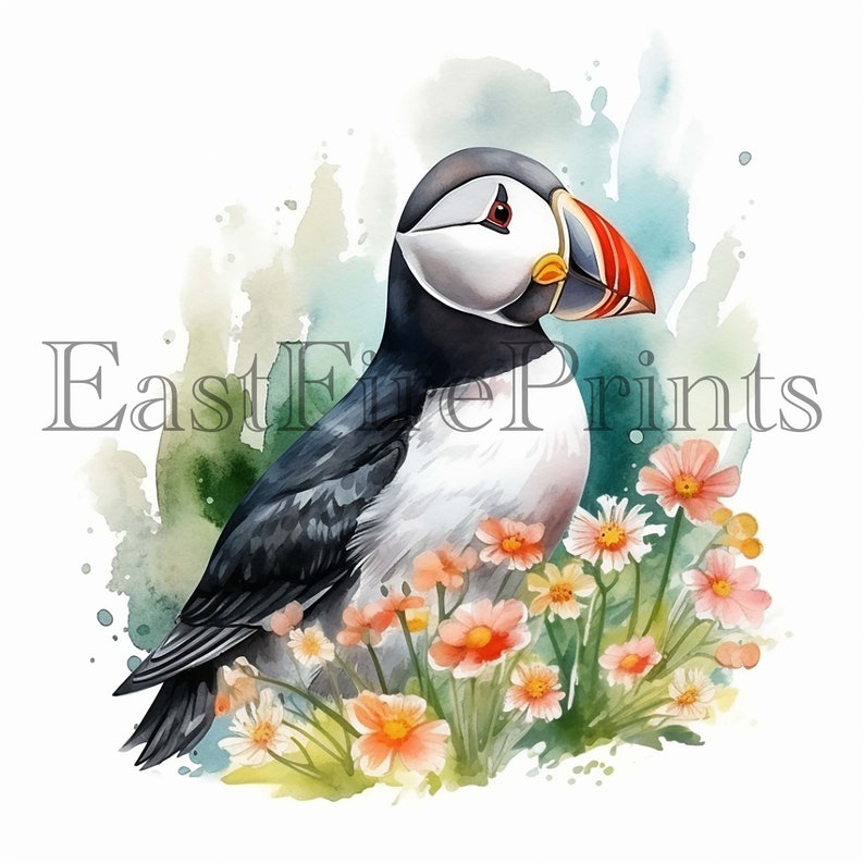 Watercolor Puffin Clipart High Quality Png Cute Animal Clip - Etsy