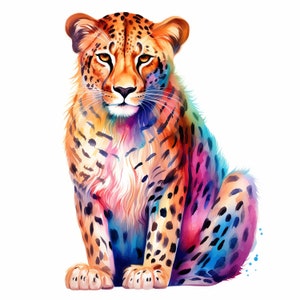 Cheetah Clipart, High Quality PNG, Safari Animals Clipart, Cheetah Art ...