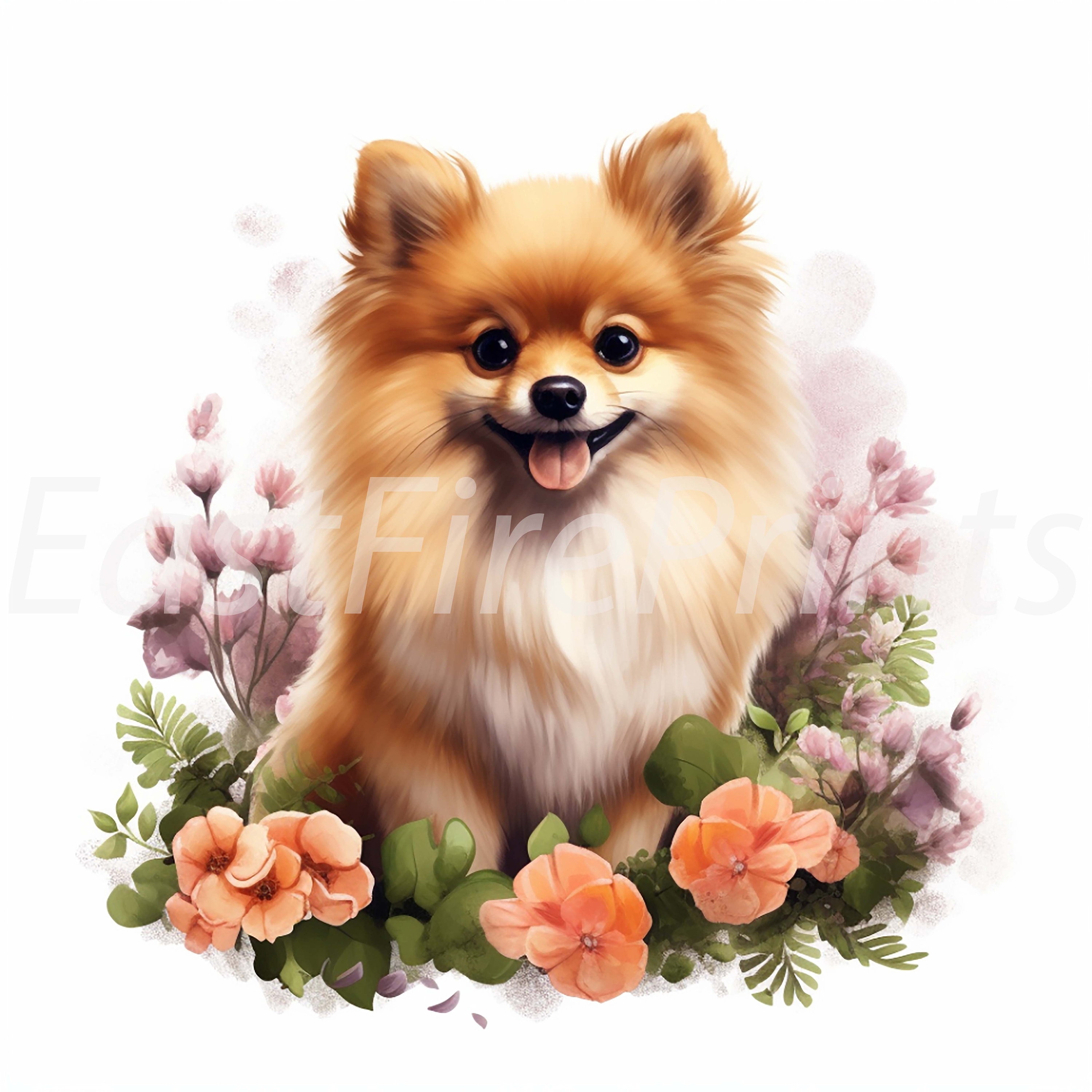 Set of 10 Pomeranian Clipart Dog Illustrations Card - Etsy