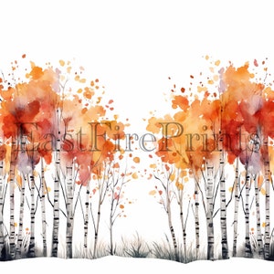Watercolor Fall Birch Trees Clipart PNG, Autumn Birch Tree Forest Clip ...