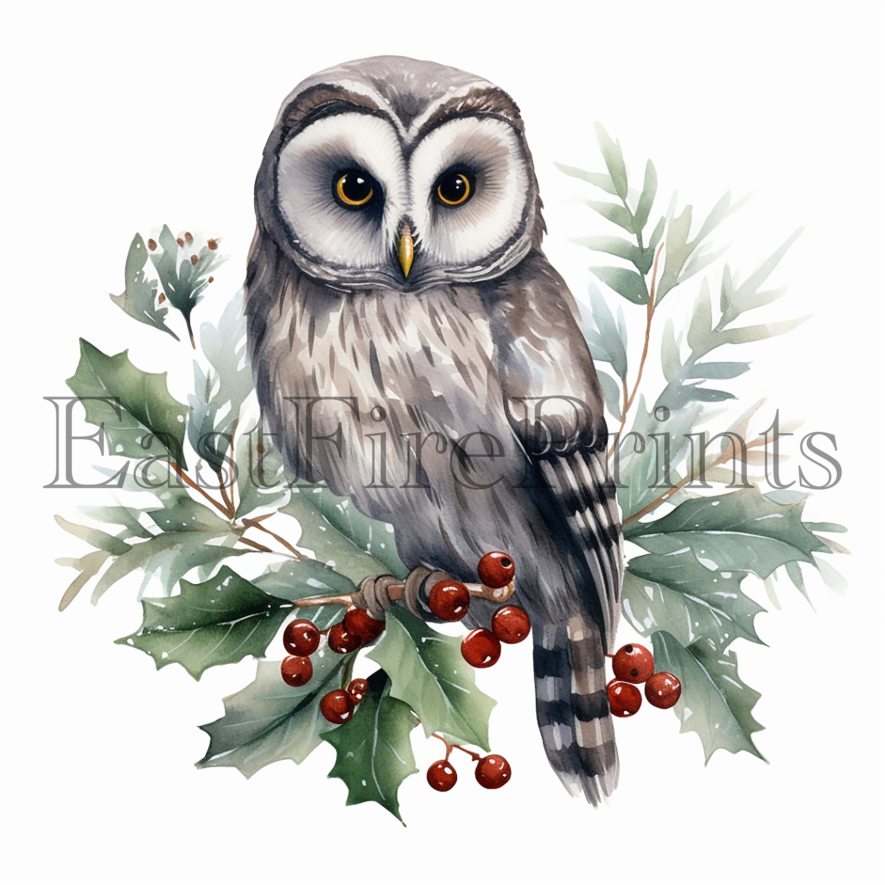 Watercolor Cute Winter Owls Clipart PNG, Christmas and Winter Clip Art ...