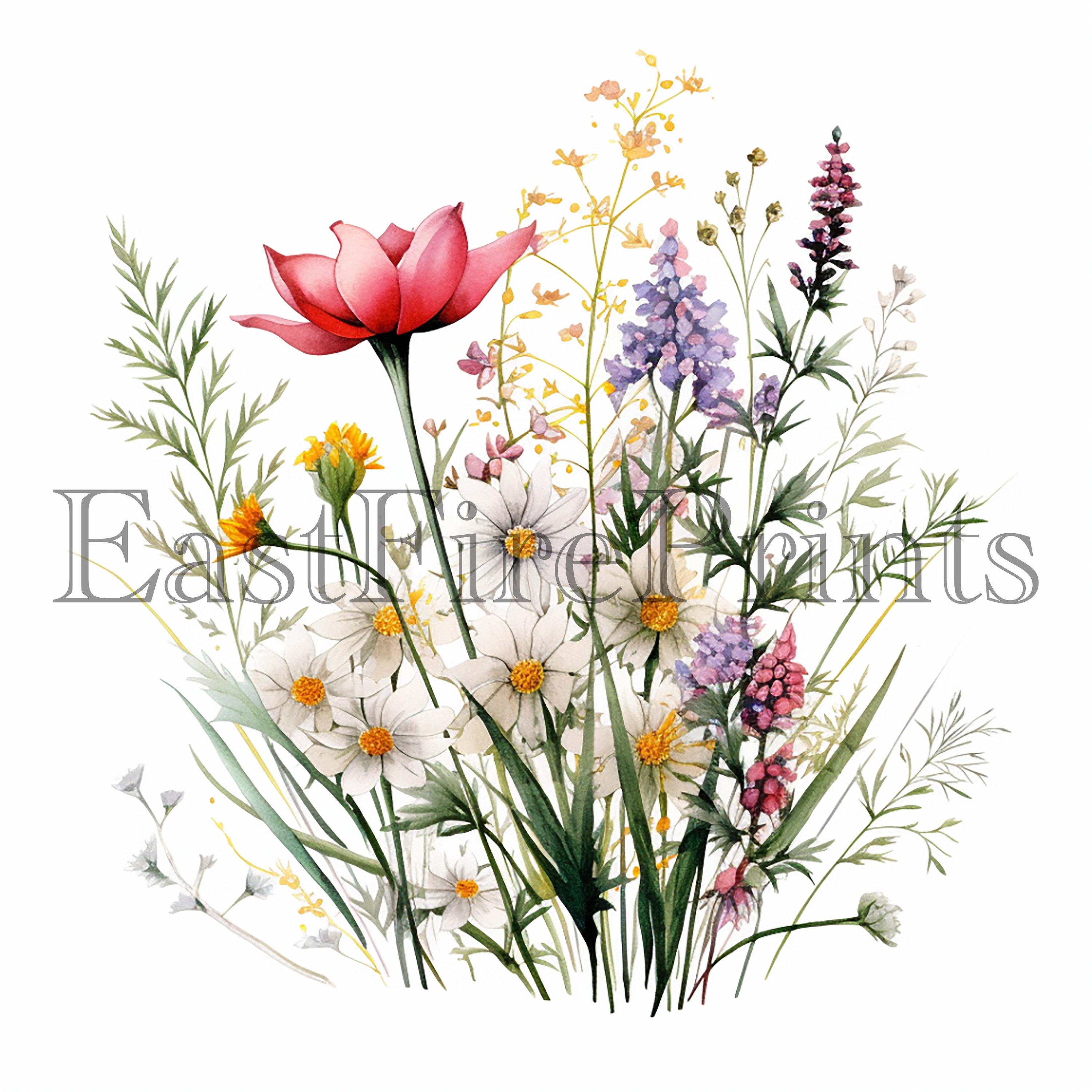 20 Wildflowers Floral Clipart Botanical Clip Art Wild - Etsy
