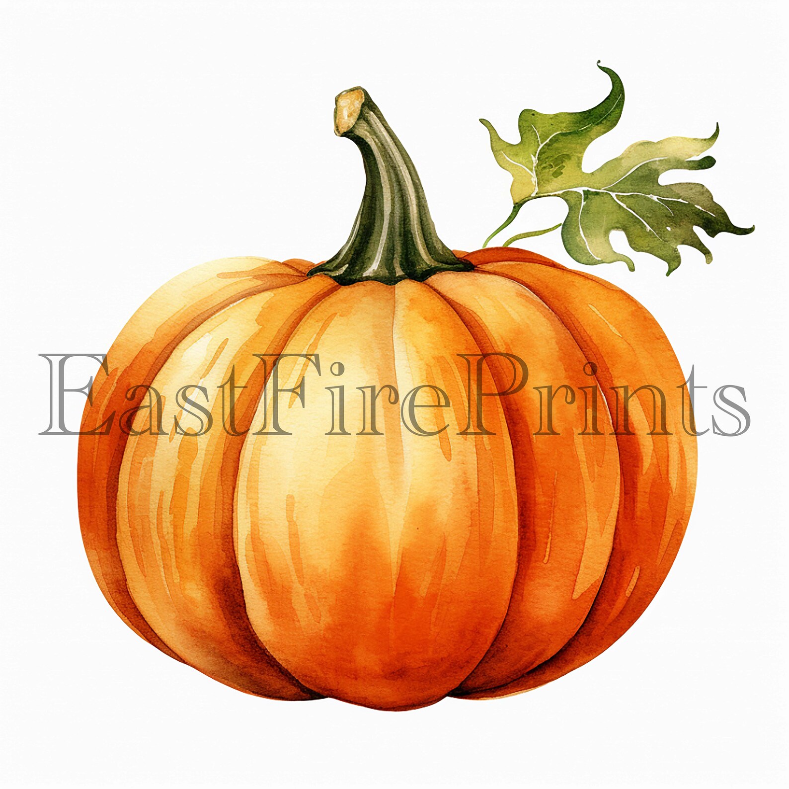Watercolor Pumpkin Spice Clipart PNG Fall and Autumn Clip - Etsy