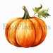 Watercolor Pumpkin Spice Clipart PNG, Fall and Autumn Clip Art, Holiday ...