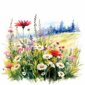 Wildflower Meadow Clipart, High Quality PNG, Wildflower Clipart, Spring ...