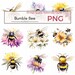 20 PNG Watercolor Bumble Bee Clipart Instant Download, Spring Bee Clip ...