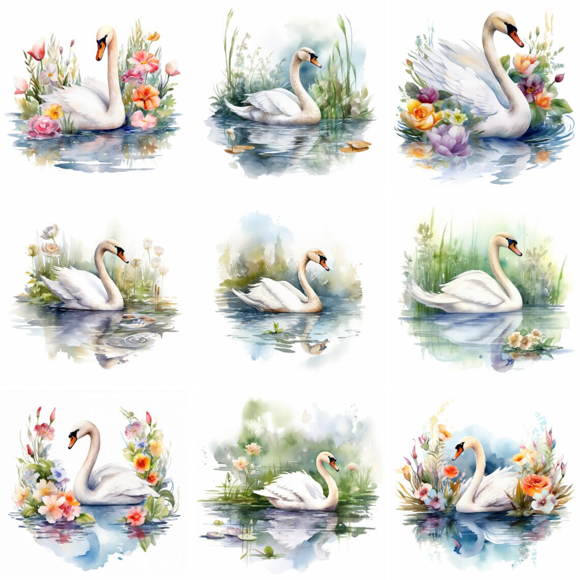 20 Watercolor Swan Clipart PNG Baby Swan Bird Nursery - Etsy