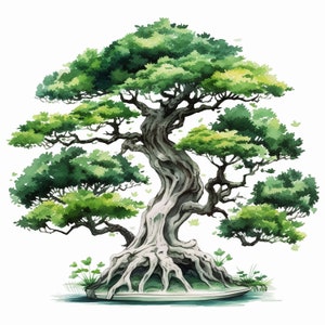 Watercolor Bonsai Tree Clipart, Asian Clipart Tree Sublimation Tree ...
