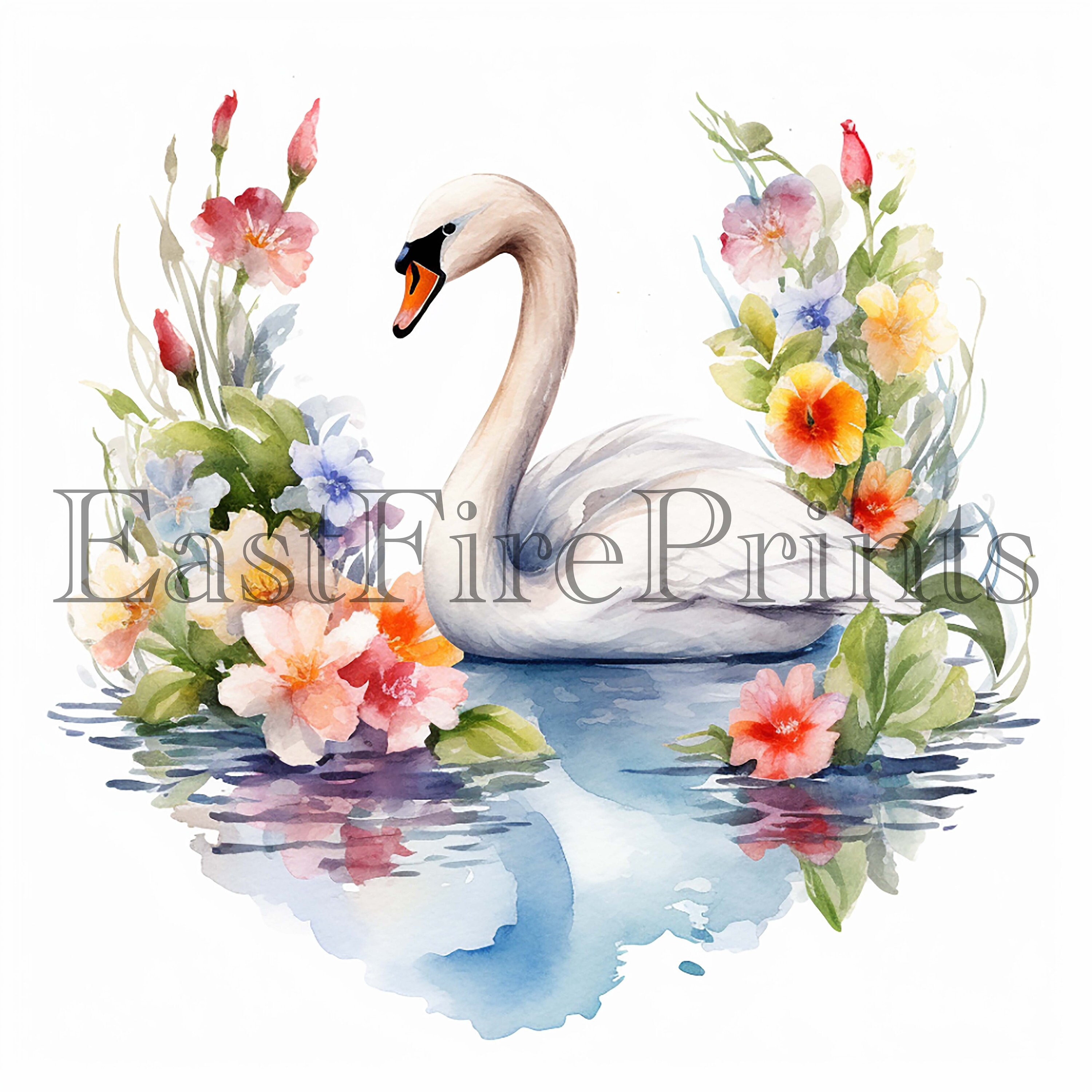 20 Watercolor Swan Clipart PNG Baby Swan Bird Nursery - Etsy