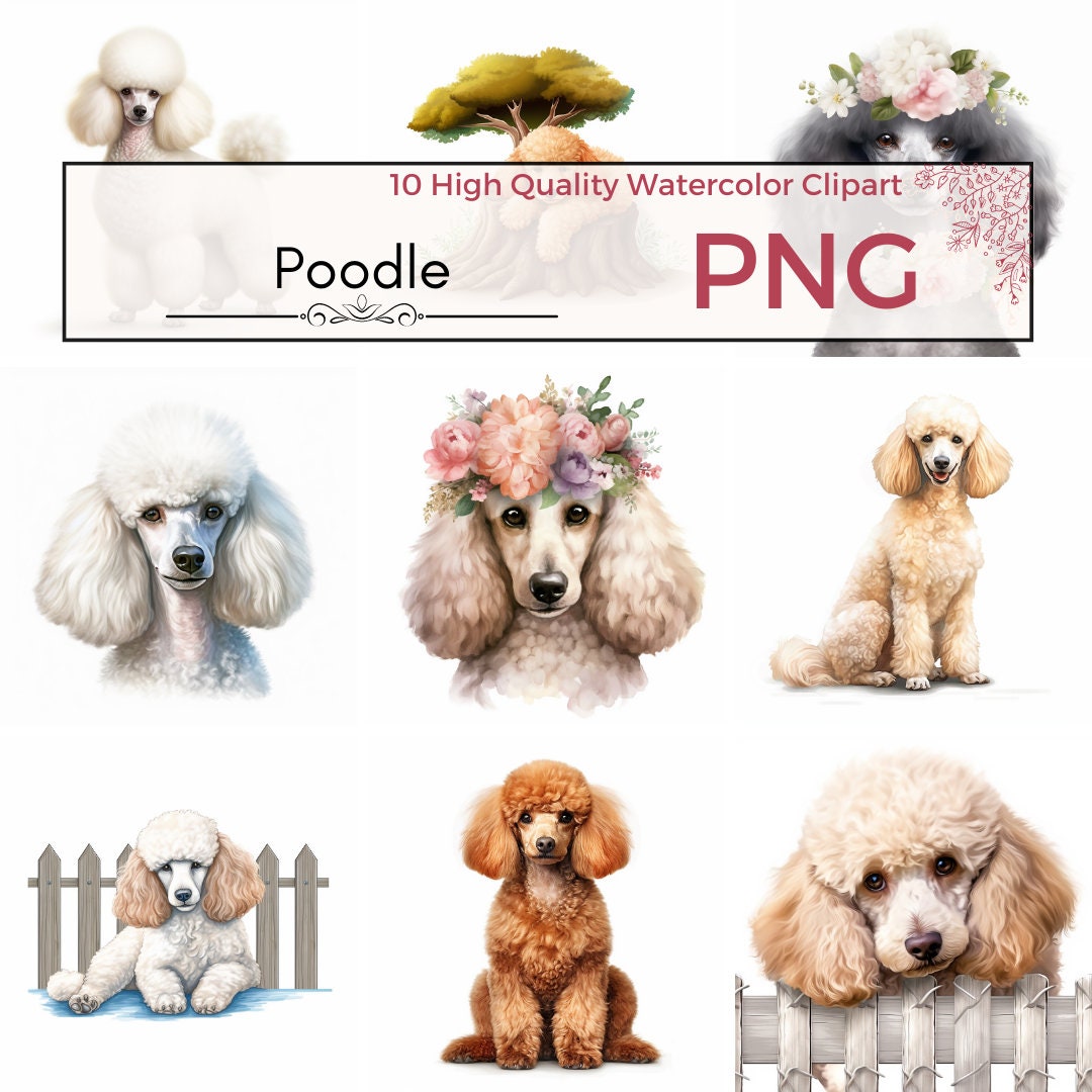 Set of 10 - Poodle Clipart, Dog Illustrations, Card Making, Dog Clipart ...