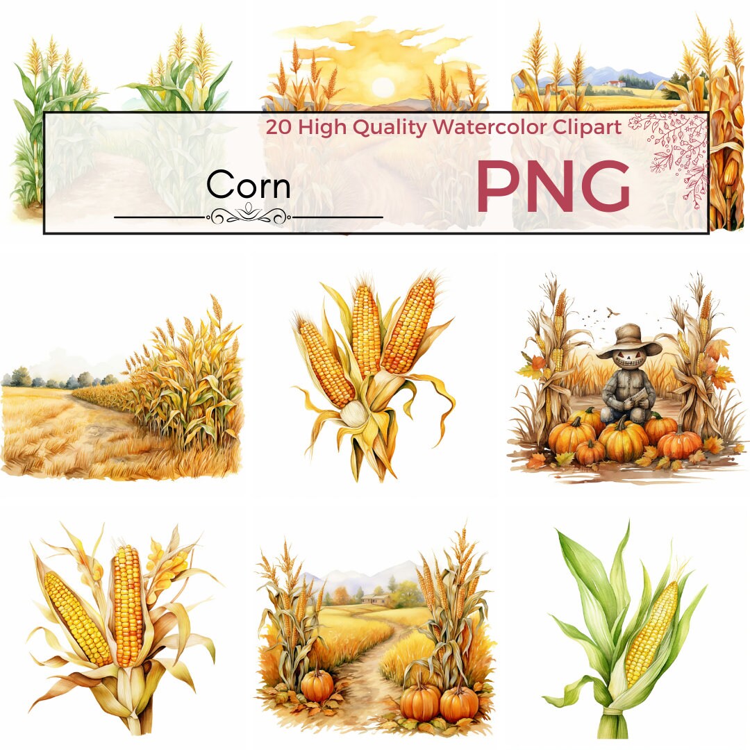 Corn Clipart High Quality Png Autumn Sublimation Fall - Etsy