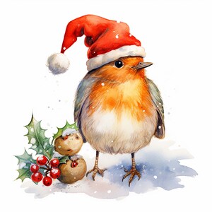 Watercolor Christmas Robin Clipart, High Quality JPG, Christmas Clipart ...