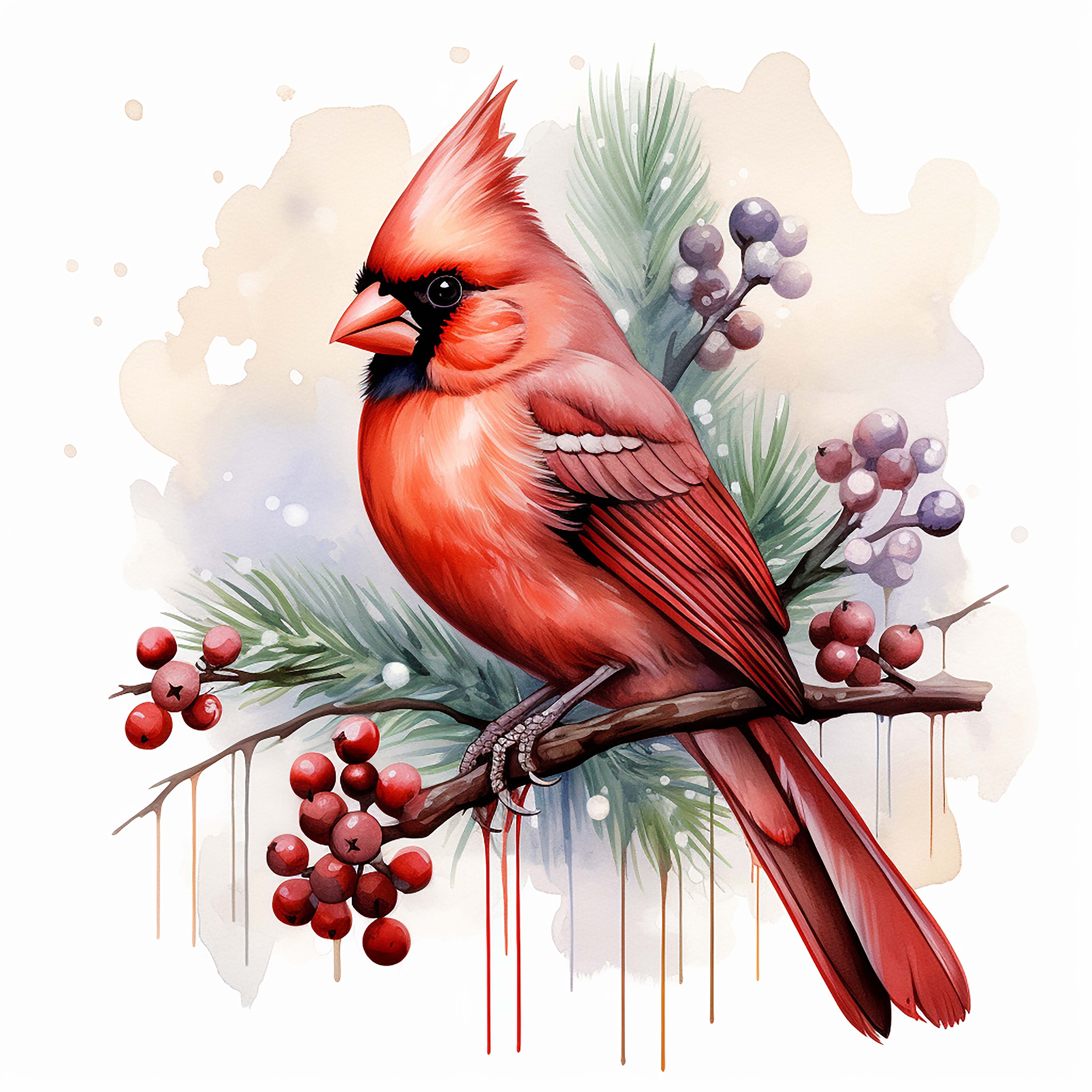 Christmas Red Cardinal Clipart High Quality PNG Digital - Etsy