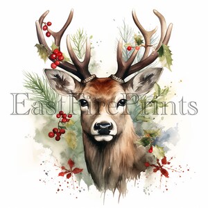 Watercolor Reindeer Clipart PNG Files, Christmas Deer Clip Art , Winter ...