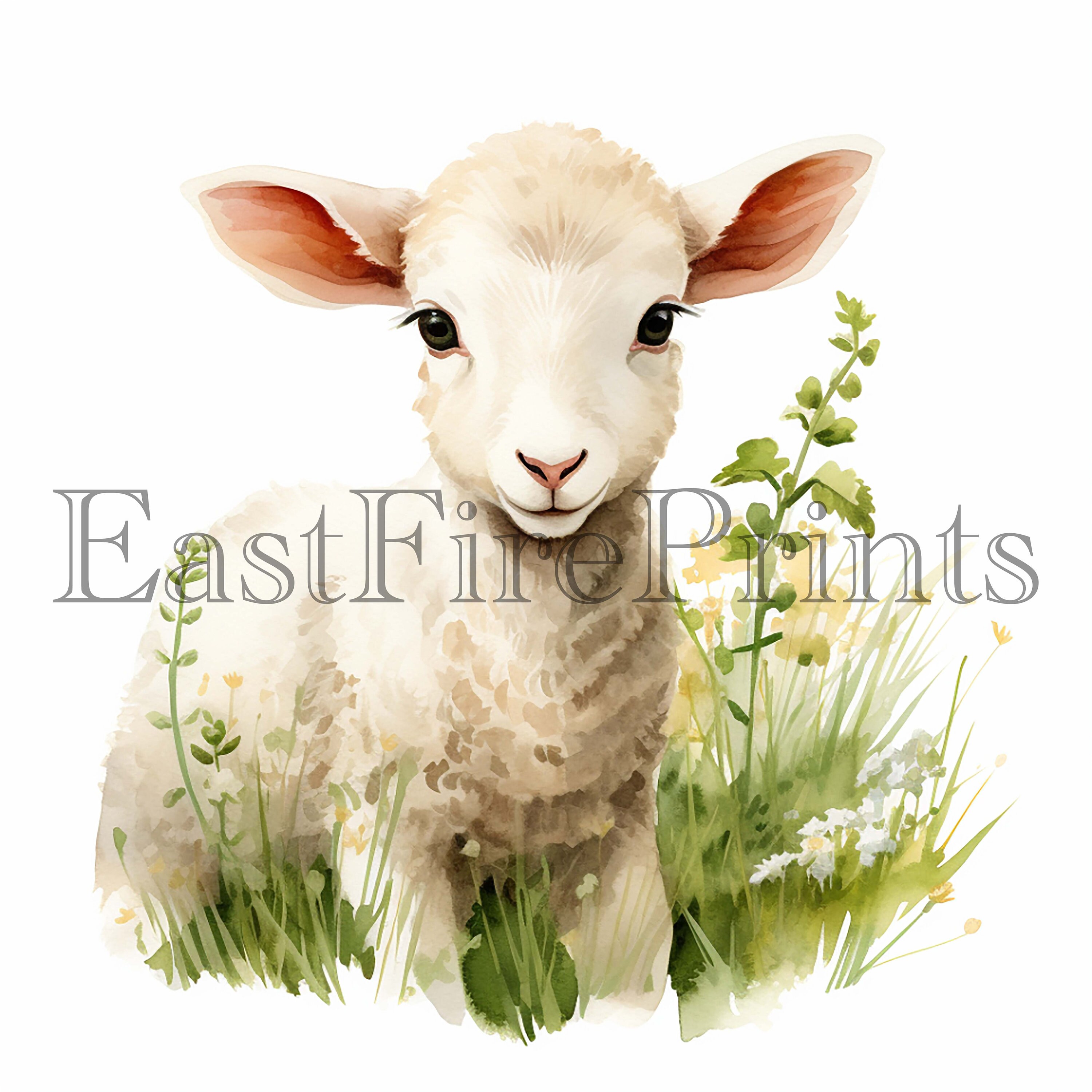 20 Baby Lamb Watercolor Clipart High Quality Png Cute Farm - Etsy