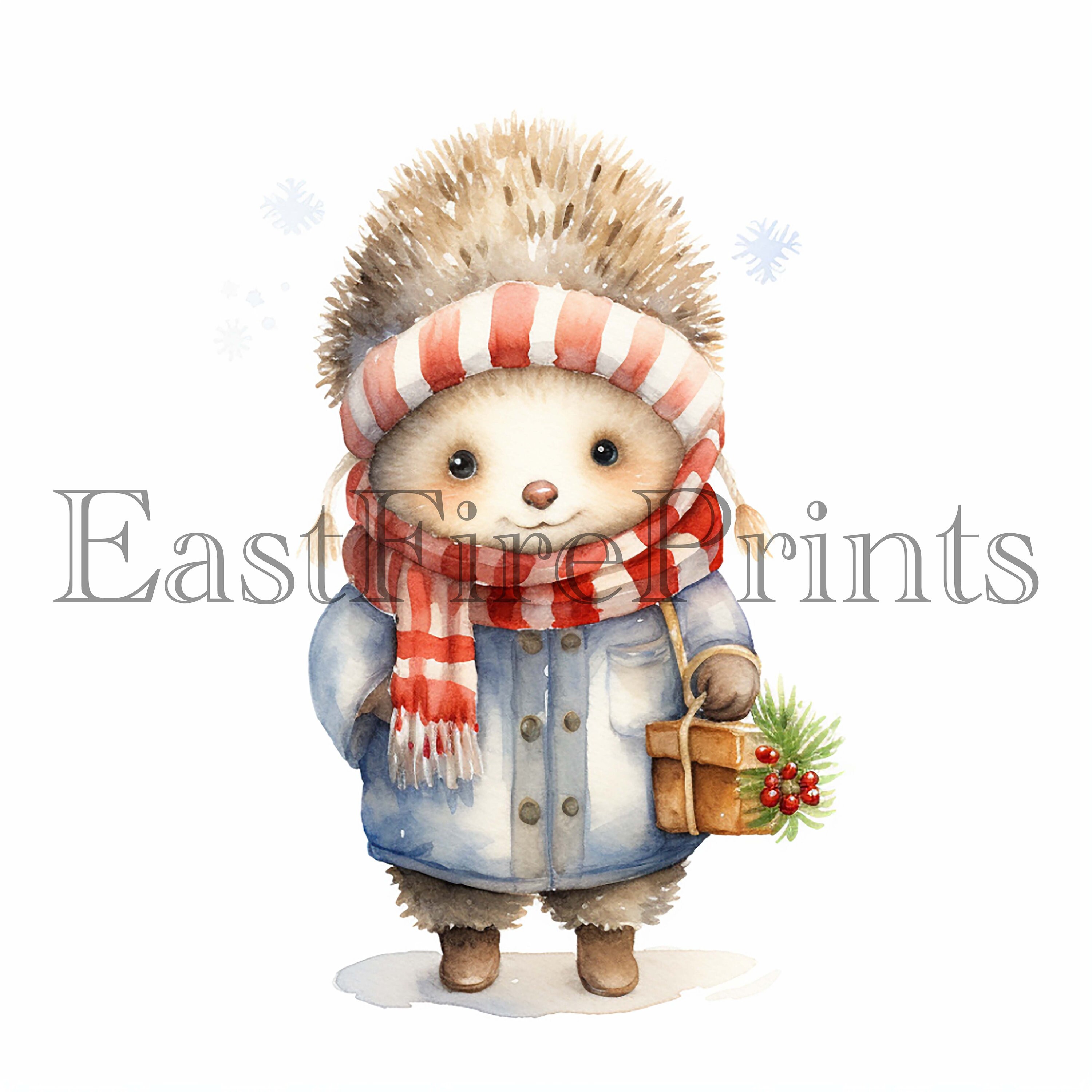 Watercolor Christmas Baby Hedgehog Clipart High Quality Png - Etsy