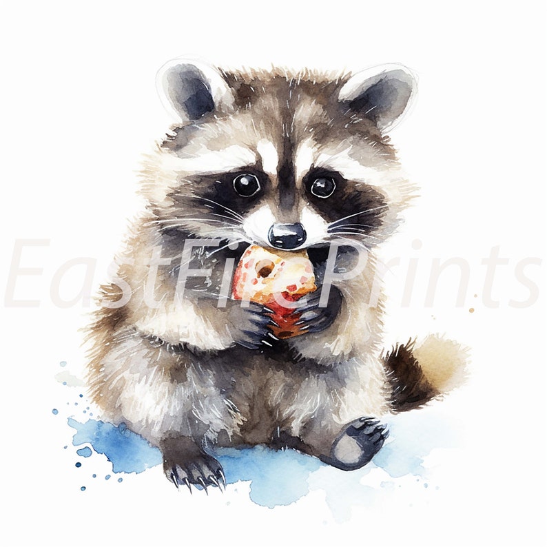 20 Watercolor Raccoon Clipart Set Baby Raccoon PNG Nursery - Etsy