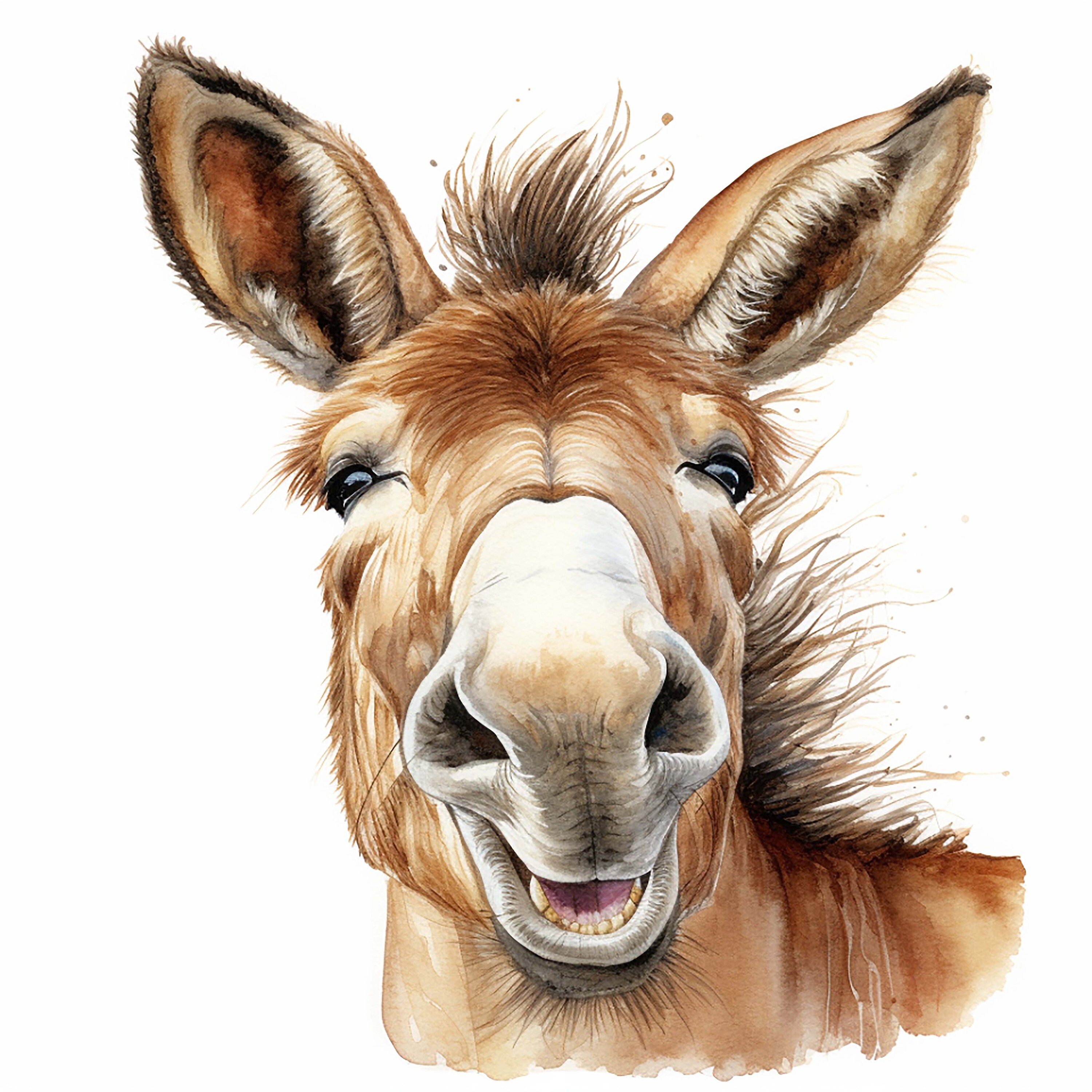 Happy Donkey Clipart High Quality PNG Farm Animal Clipart - Etsy