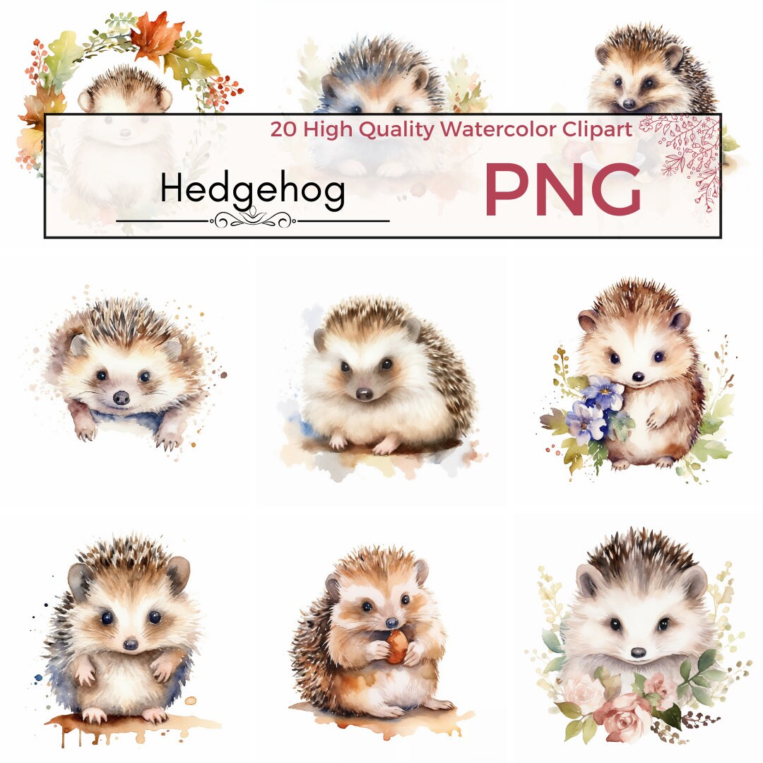 20 Watercolor Hedgehog Clipart Bundle | Hedgehog Wall Art, Hedgehog ...
