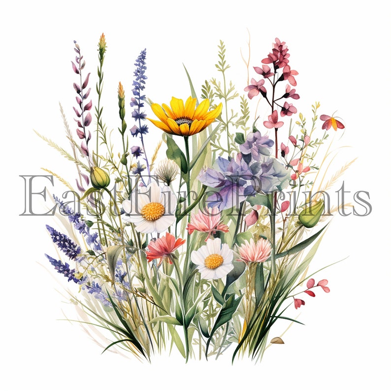 Watercolor Wildflowers Clipart High Quality Png Floral - Etsy