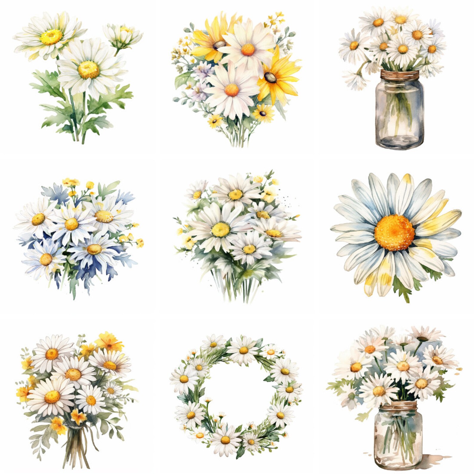 Watercolor Daisies Clipart PNG, Spring Floral Clip Art, Flowers and ...