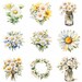 Watercolor Daisies Clipart PNG, Spring Floral Clip Art, Flowers and ...