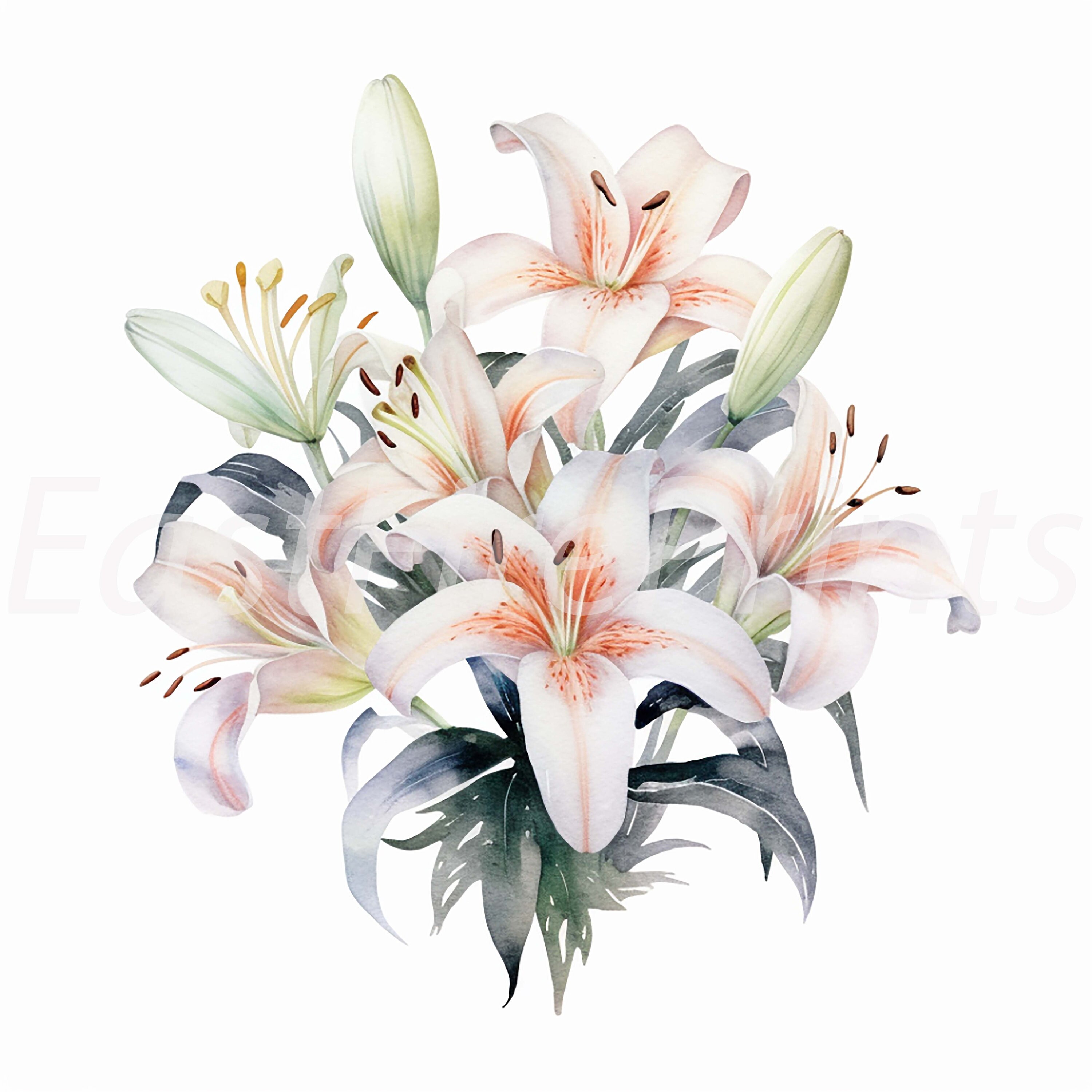 20 Watercolor Lilies Bouquet Clipart Bundle Hand-painted - Etsy