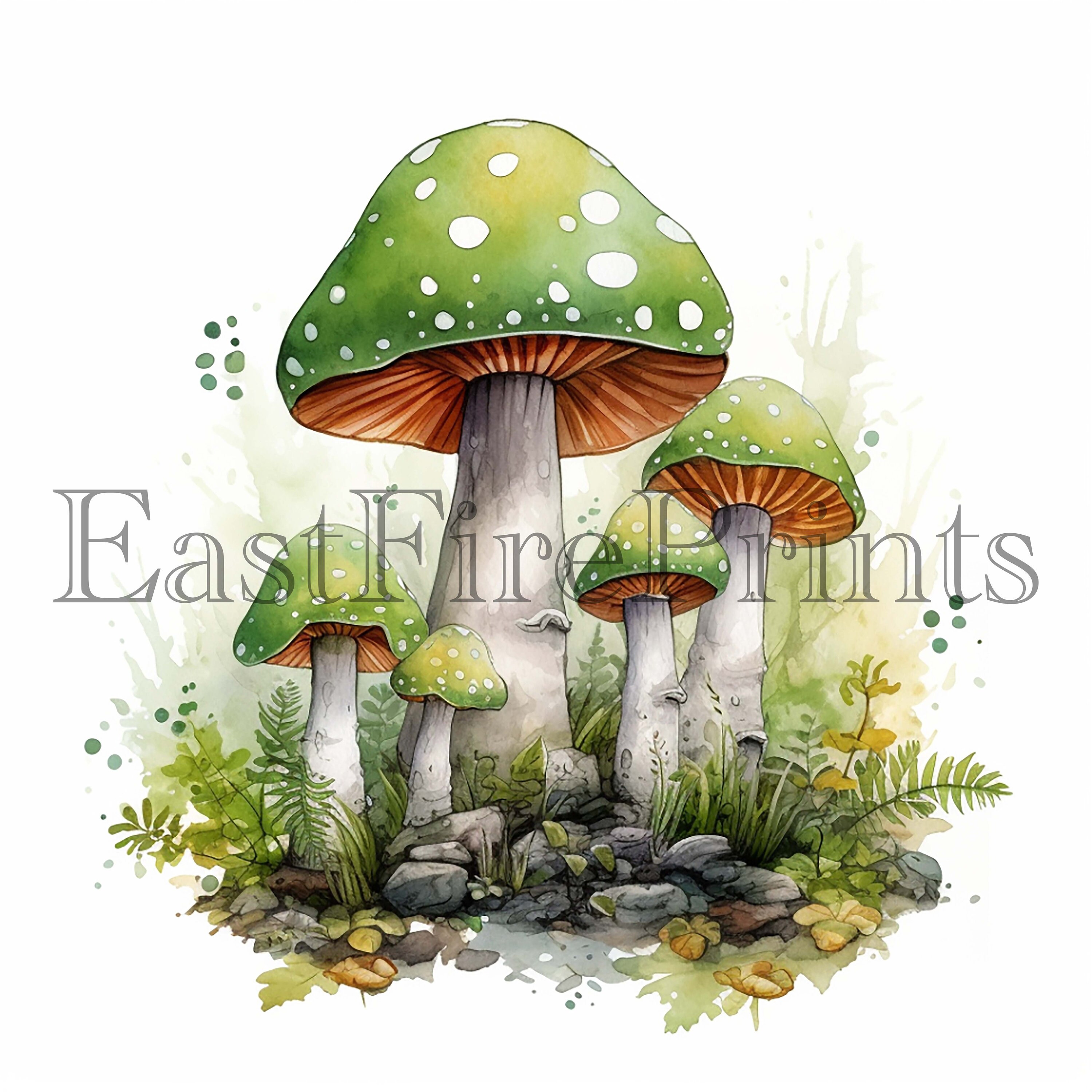 19 Watercolor Mushroom Clipart PNG Cute Forest Nature - Etsy