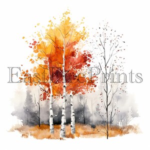 Watercolor Fall Birch Trees Clipart PNG, Autumn Birch Tree Forest Clip ...