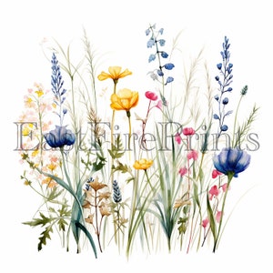 Watercolor Wildflowers Clipart, High Quality Png, Floral Botanical Clip ...