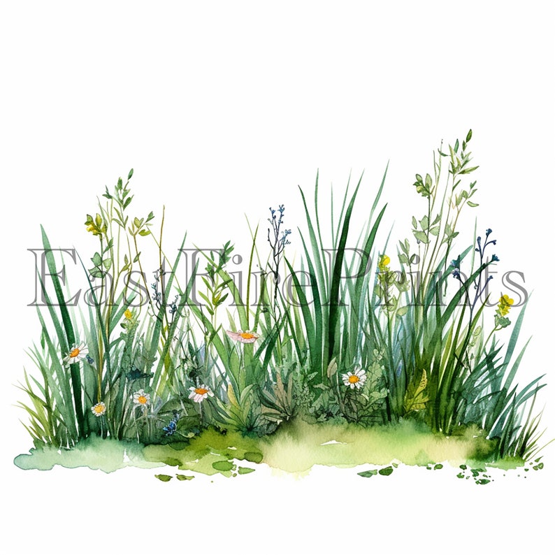 20 Watercolor Spring Grass Clipart Set Grass Illustrations - Etsy