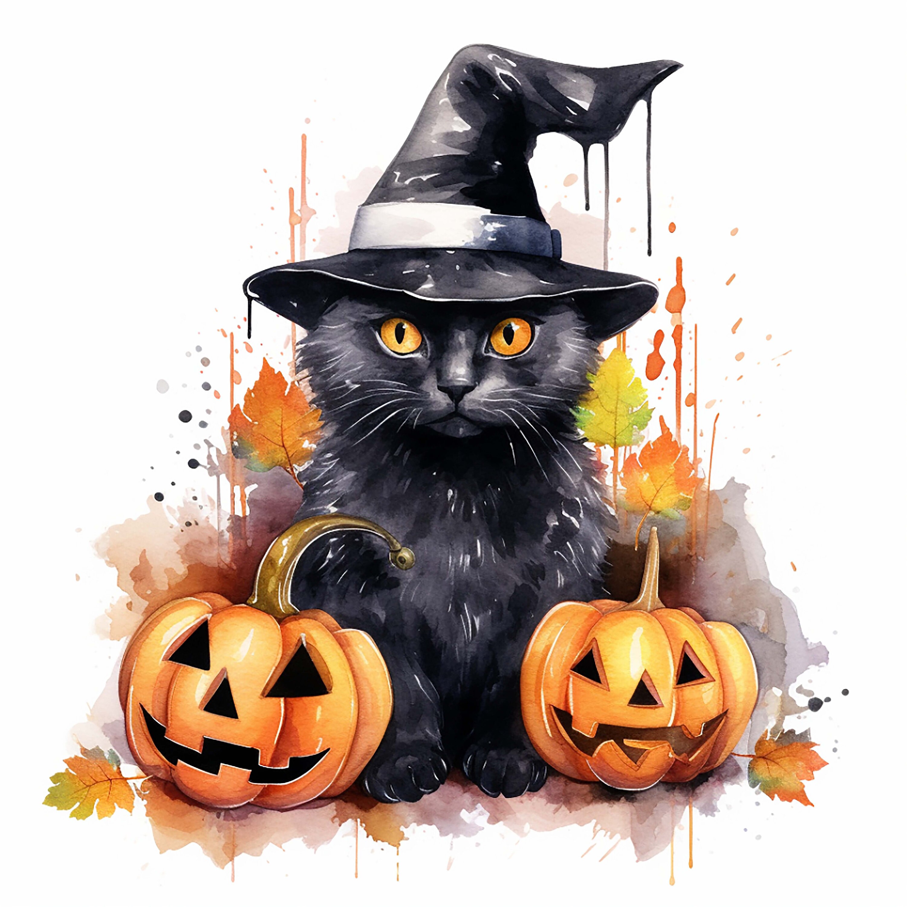 Halloween Black Cat Clipart High Quality Png Halloween - Etsy