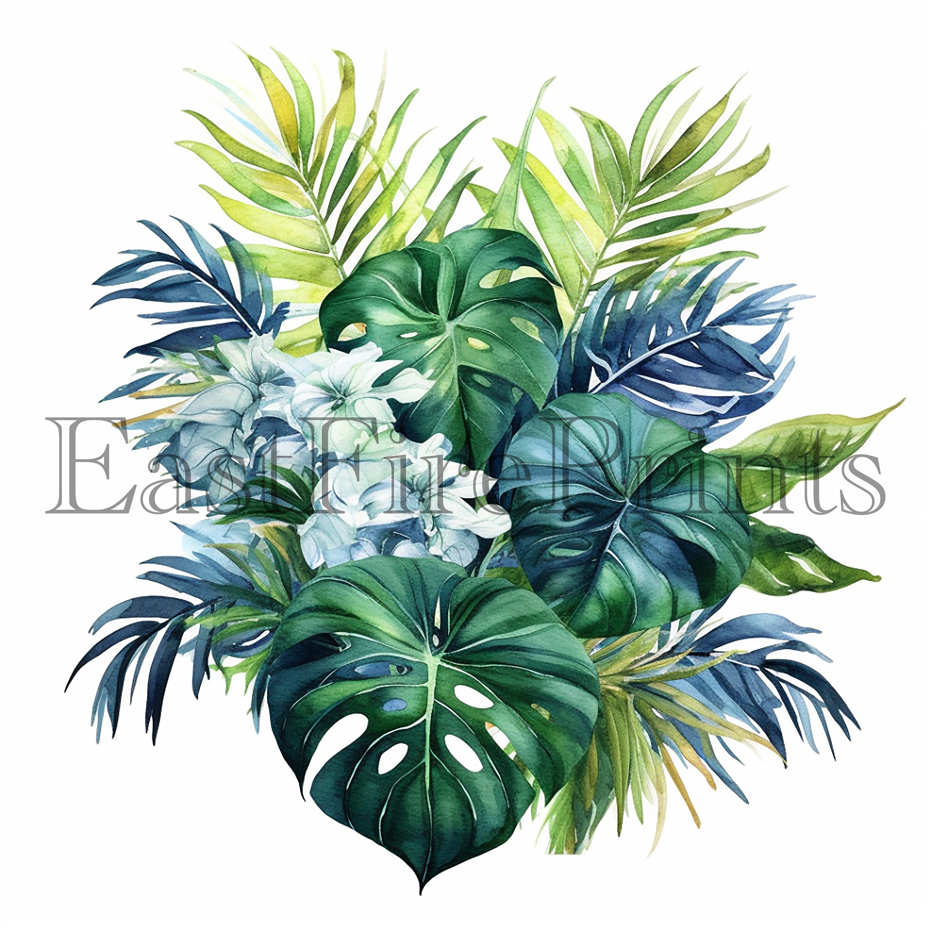 20 Watercolor Monstera Clipart Set Tropical Leaf PNG - Etsy
