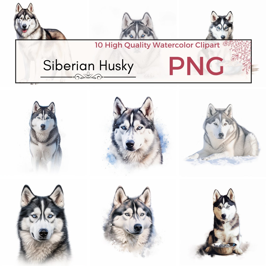 Set of 10 - Siberian Husky Clipart, Dog Illustrations, Card Making, Dog ...