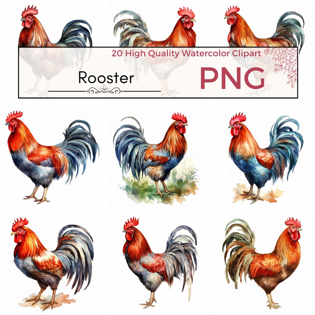 Rooster Clipart, High Quality PNG Farm Animal Clipart, Watercolor ...