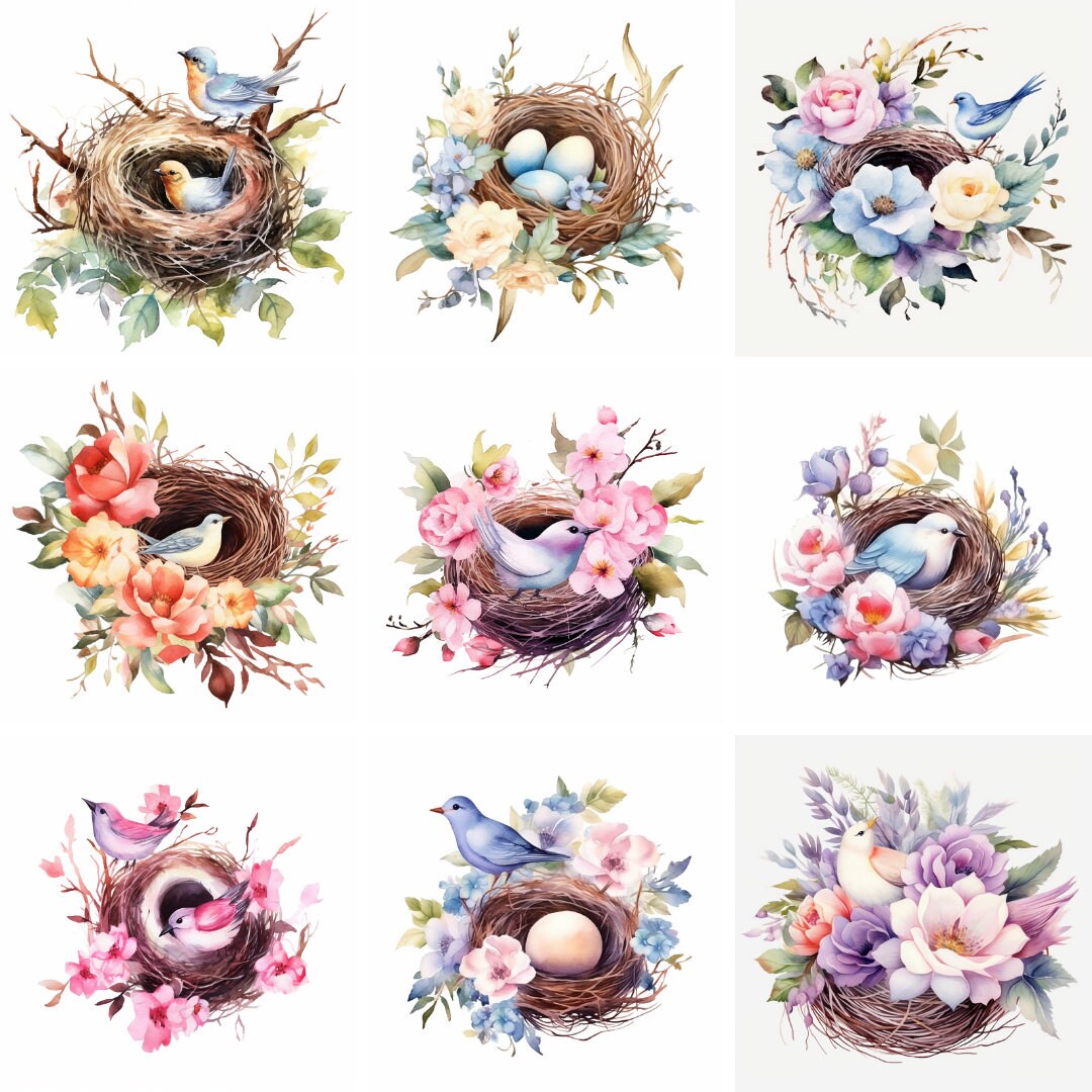 Watercolor Bird Nests Clipart PNG Bird Clip Art Springtime - Etsy
