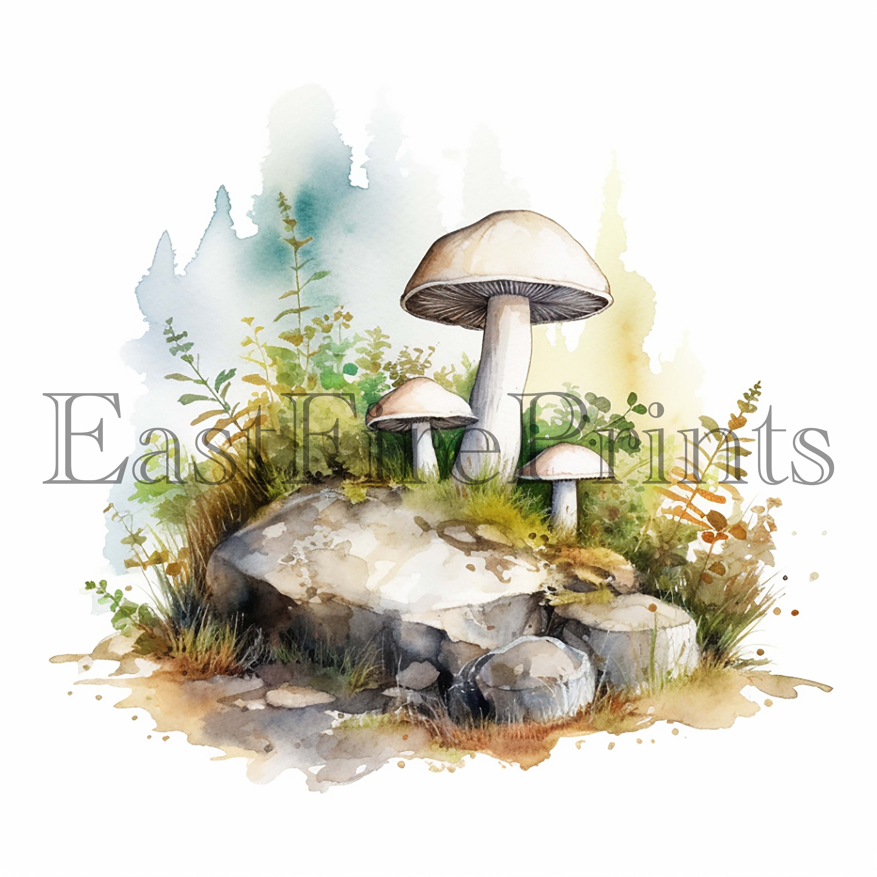 19 Watercolor Mushroom Clipart PNG Cute Forest Nature - Etsy