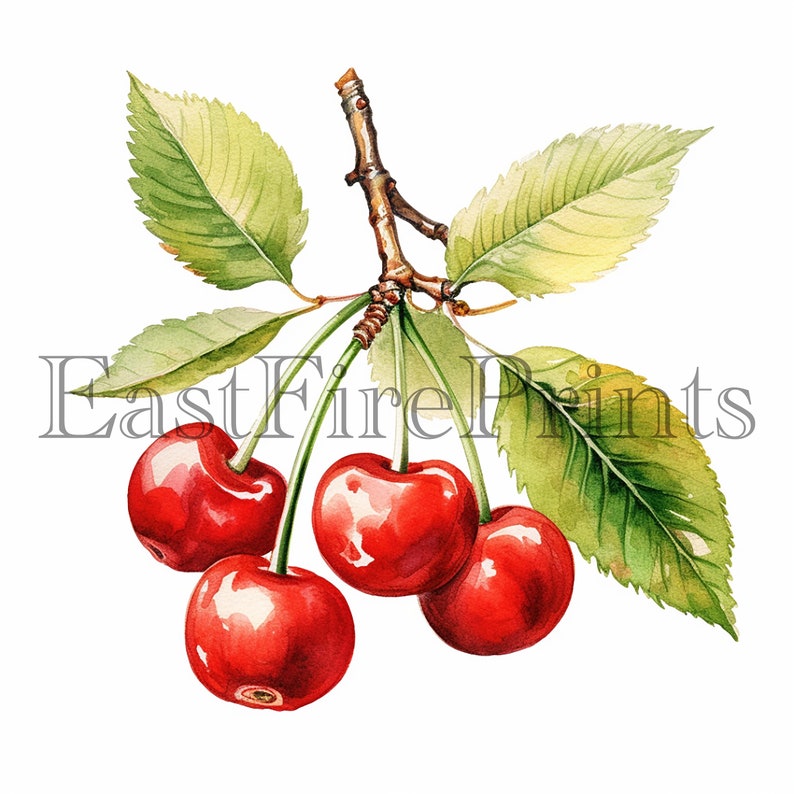 20 Watercolor Cherry Clipart Red Cherries Clipart Digital - Etsy