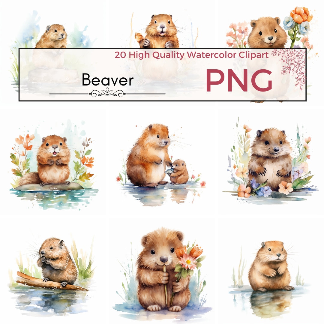 20 Watercolor Beaver Clipart Bundle Wildlife Illustrations - Etsy