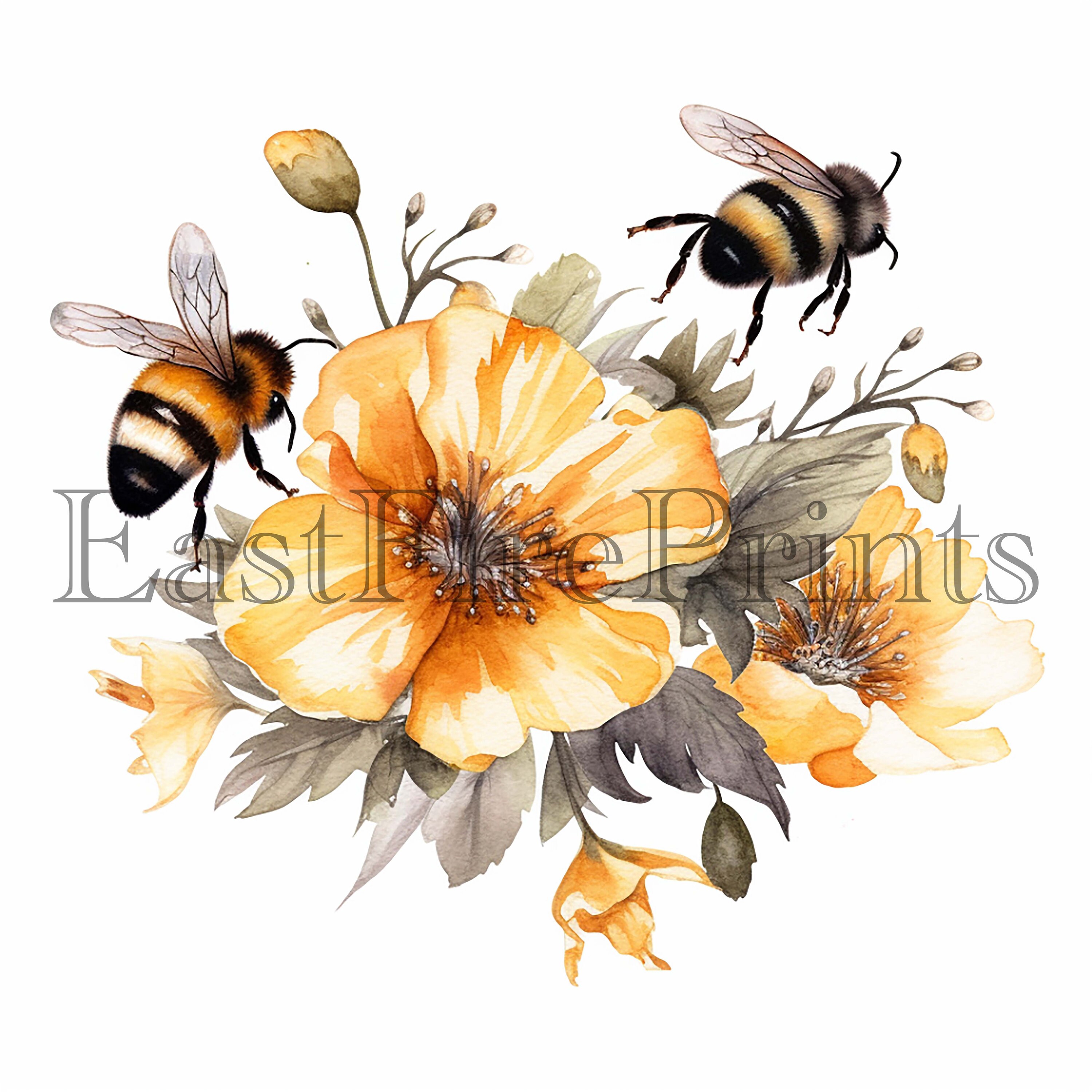 20 PNG Watercolor Bumble Bee Clipart Instant Download Spring - Etsy