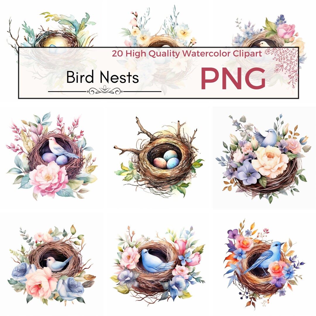 Watercolor Bird Nests Clipart PNG, Bird Clip Art, Springtime Cute Birds ...