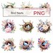 Watercolor Bird Nests Clipart PNG Bird Clip Art Springtime - Etsy