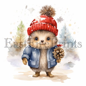 Watercolor Christmas Baby Hedgehog Clipart, High Quality Png, Winter ...