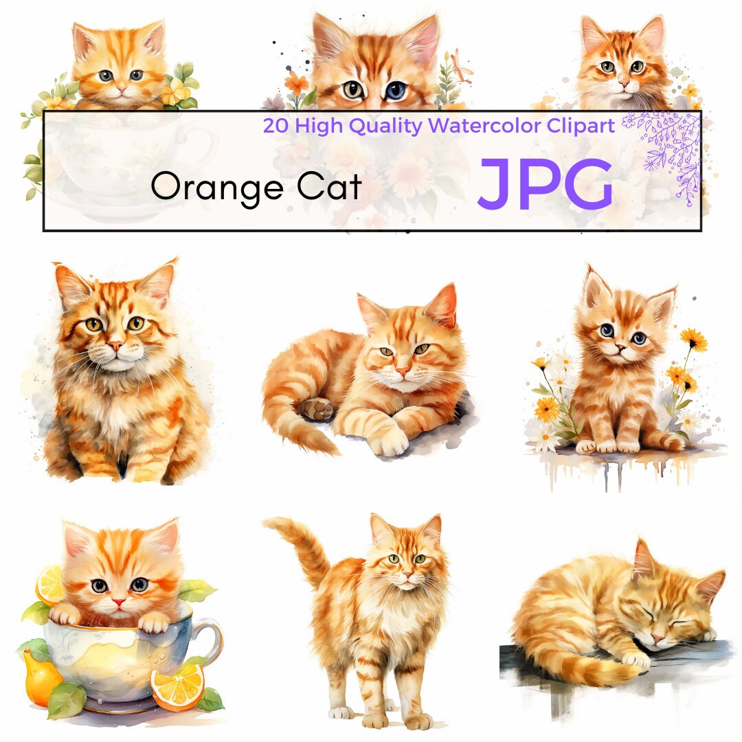 Watercolor Orange Cat Clipart, High Quality JPG, Pet Cat Wall Art ...