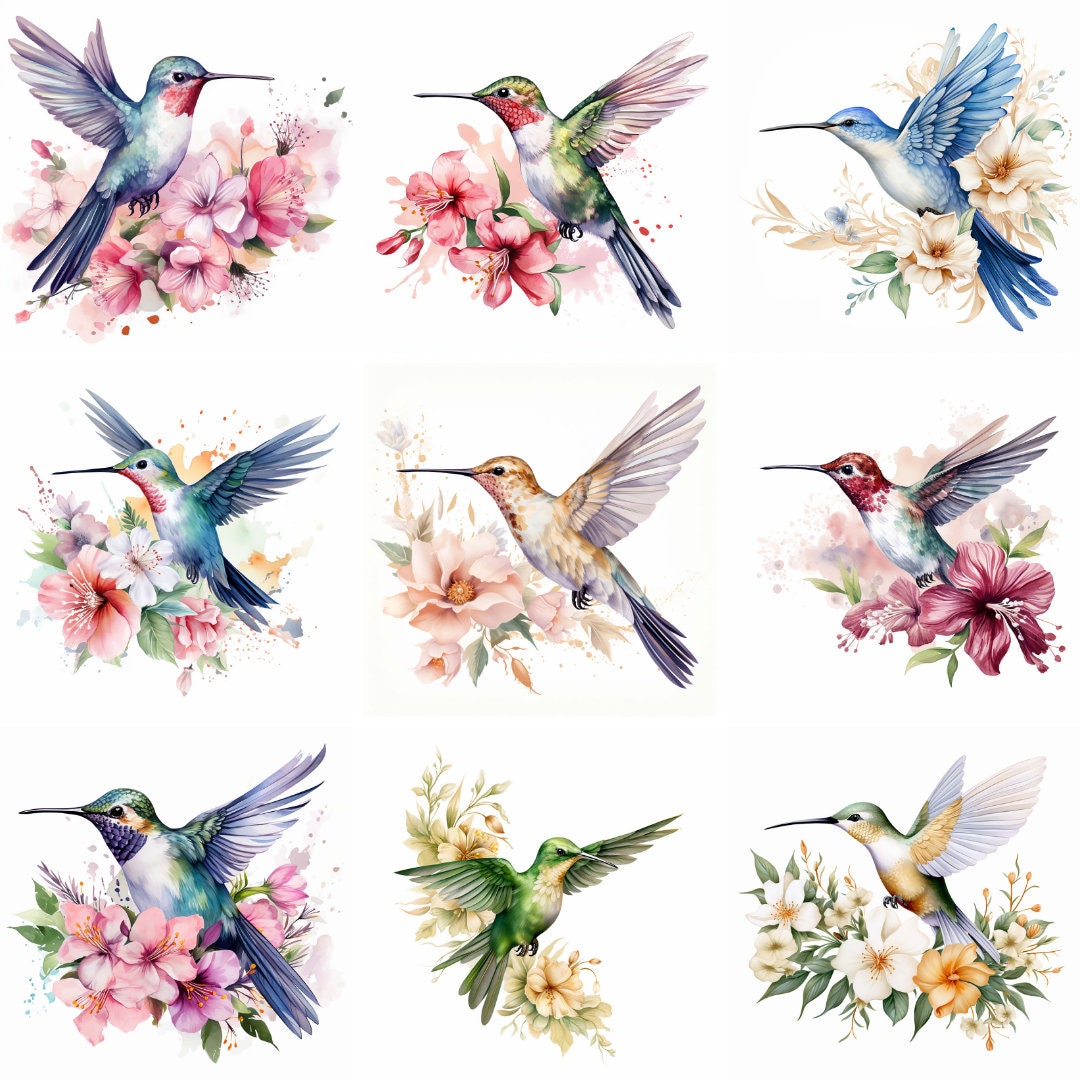 Clipart de colibrí floral, PNG de alta calidad, PNG de colibrí lindo ...
