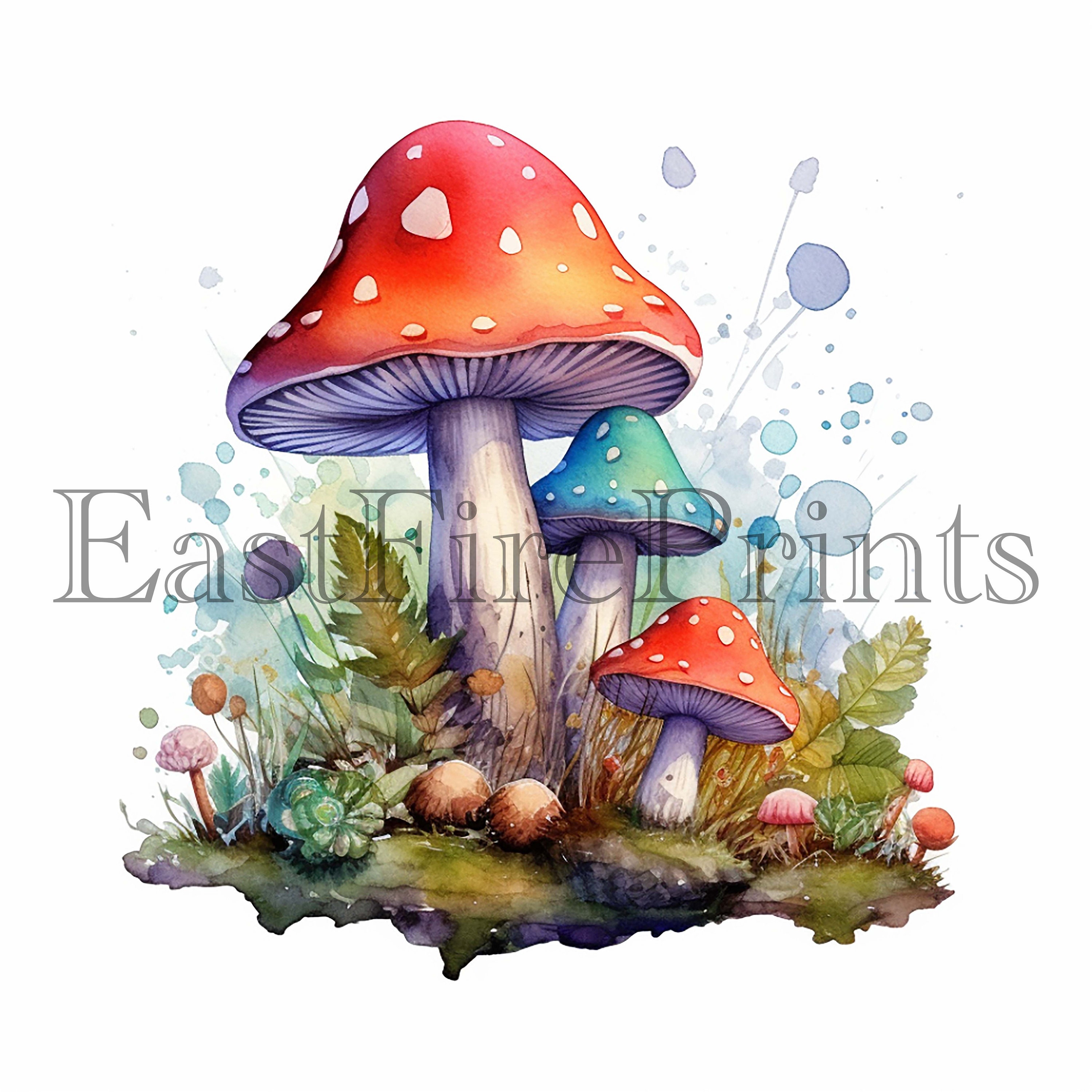 19 Watercolor Mushroom Clipart PNG Cute Forest Nature - Etsy