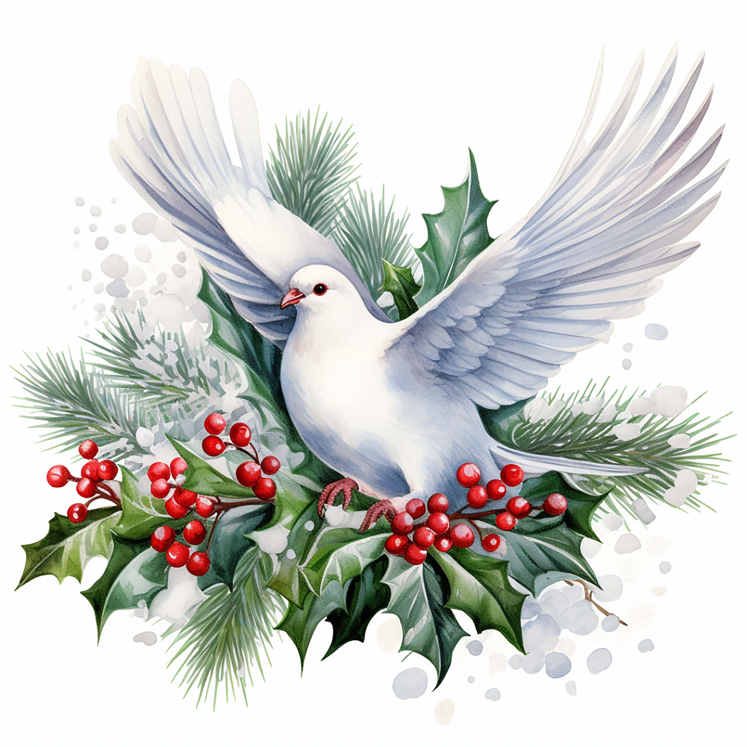 Watercolor Christmas White Dove Clipart Holiday Clipart - Etsy